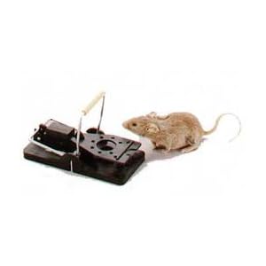 *Snap-E Mouse Trap-6 Pack Cheap Sale | Omitsutaka