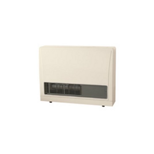 Rinnai EX22 CP Direct Vent Wall Furnace Propane Ana Costa Rodriguesga