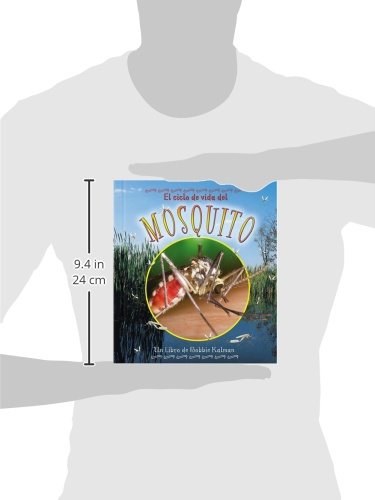 El Ciclo De Vida Del Mosquito/Life cycle of a mosquito (Ciclo - Want It All