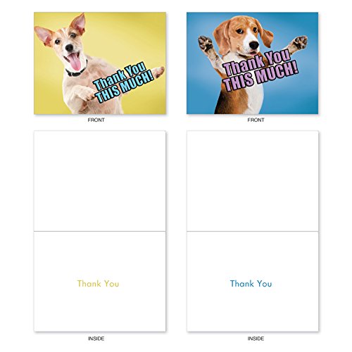 M2369TYG Dog Big Thanks: 10 Assorted Thank You Note Cards Featuring ...