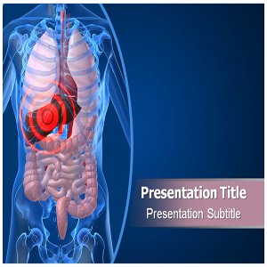 Amazon.com: Digestive system PowerPoint Template - Digestive system PowerPoint (PPT) Backgrounds ...