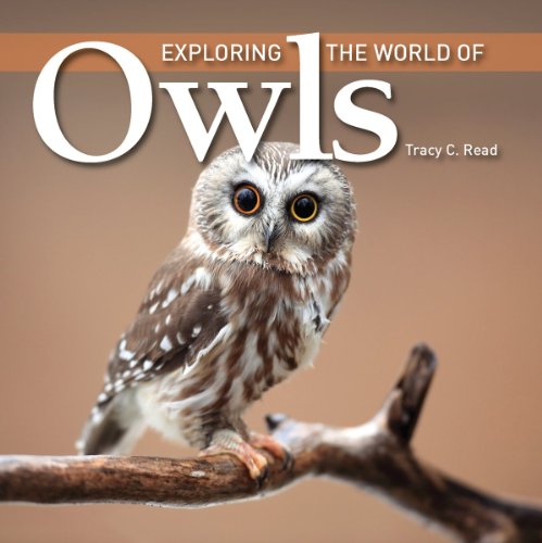 Exploring the World of Owls Media Books Non Fiction Juvenile Non Fiction