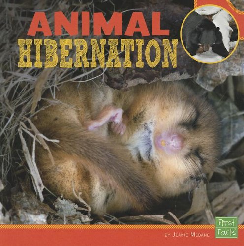 23 Printable Pictures of Animals that Hibernate - The Natural Homeschool