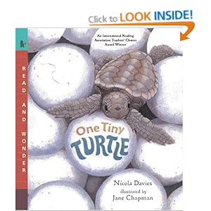 One Tiny Turtle (Children's Picture Books on Video) book downloads - Ange