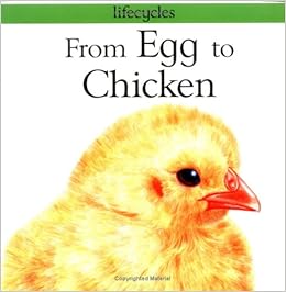 From Egg to Chicken (Lifecycles): Dr Gerald Legg PhD, Carolyn Scrace ...