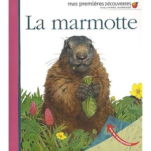 Grounhog Day : petites histoires de marmottes - Kdolivres : la magie ...