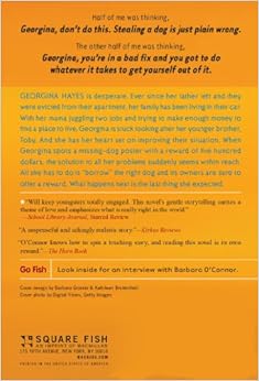 How to Steal a Dog: Barbara O'Connor: 9780312561123: Amazon.com: Books