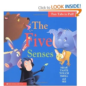 Amazon.com: The Five Senses (9780439388825): Keith Faulkner, Jonathan ...
