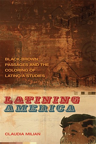 Latin America Ethnicity In 20th Century Essay