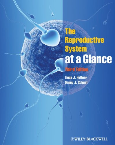 Download Reproductive System Notes Pdf Free Nerdutorrent