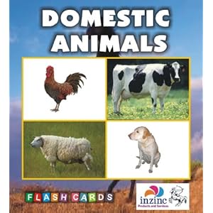 Buy Domestic Animals Flash Cards for Kids (Includes Farm Animals and ...