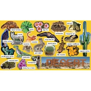 Scholastic Desert Plants & Animals Mini Bulletin Board (TF8076)