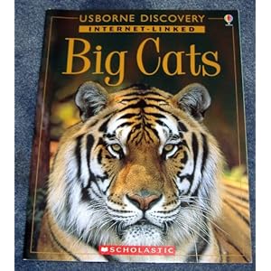 Big Cats (Usborne Discovery Internet-Linked): 9780439709538: Books ...