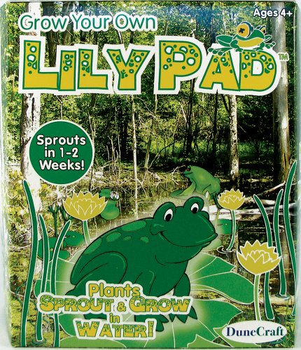Grow Your Own Lily Pad Kit - FindGift.com