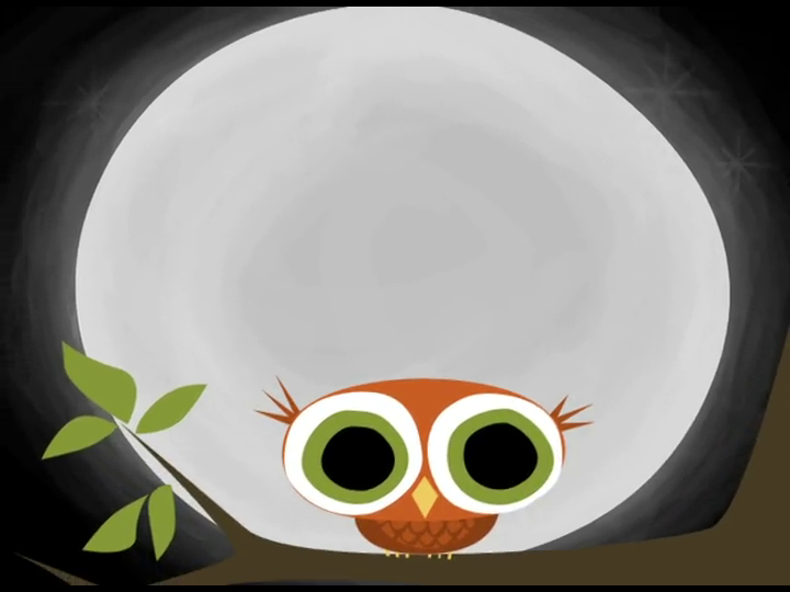 Little Owl's Night: Divya Srinivasan: 9780670012954: Amazon.com: Books