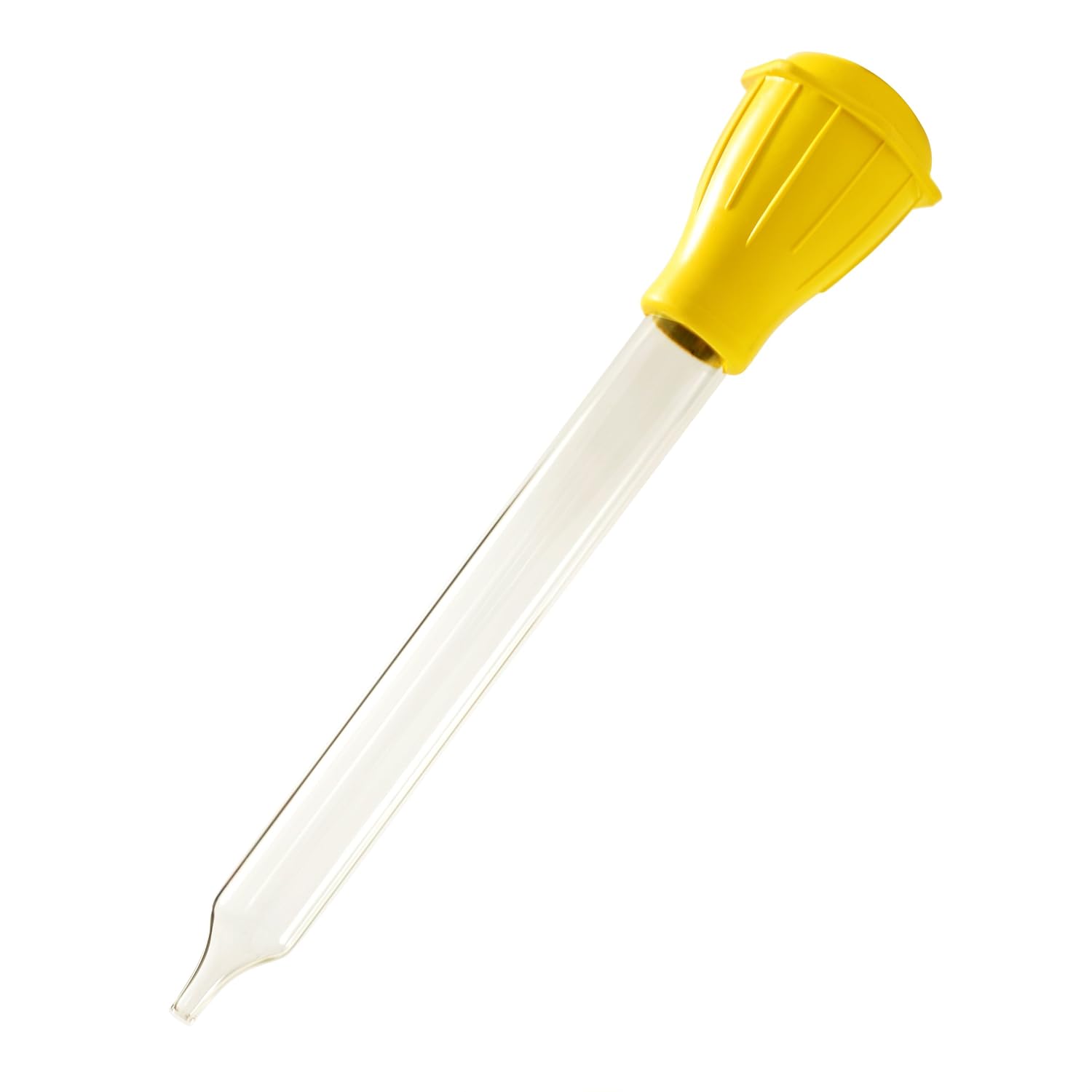 baster-definition-what-is