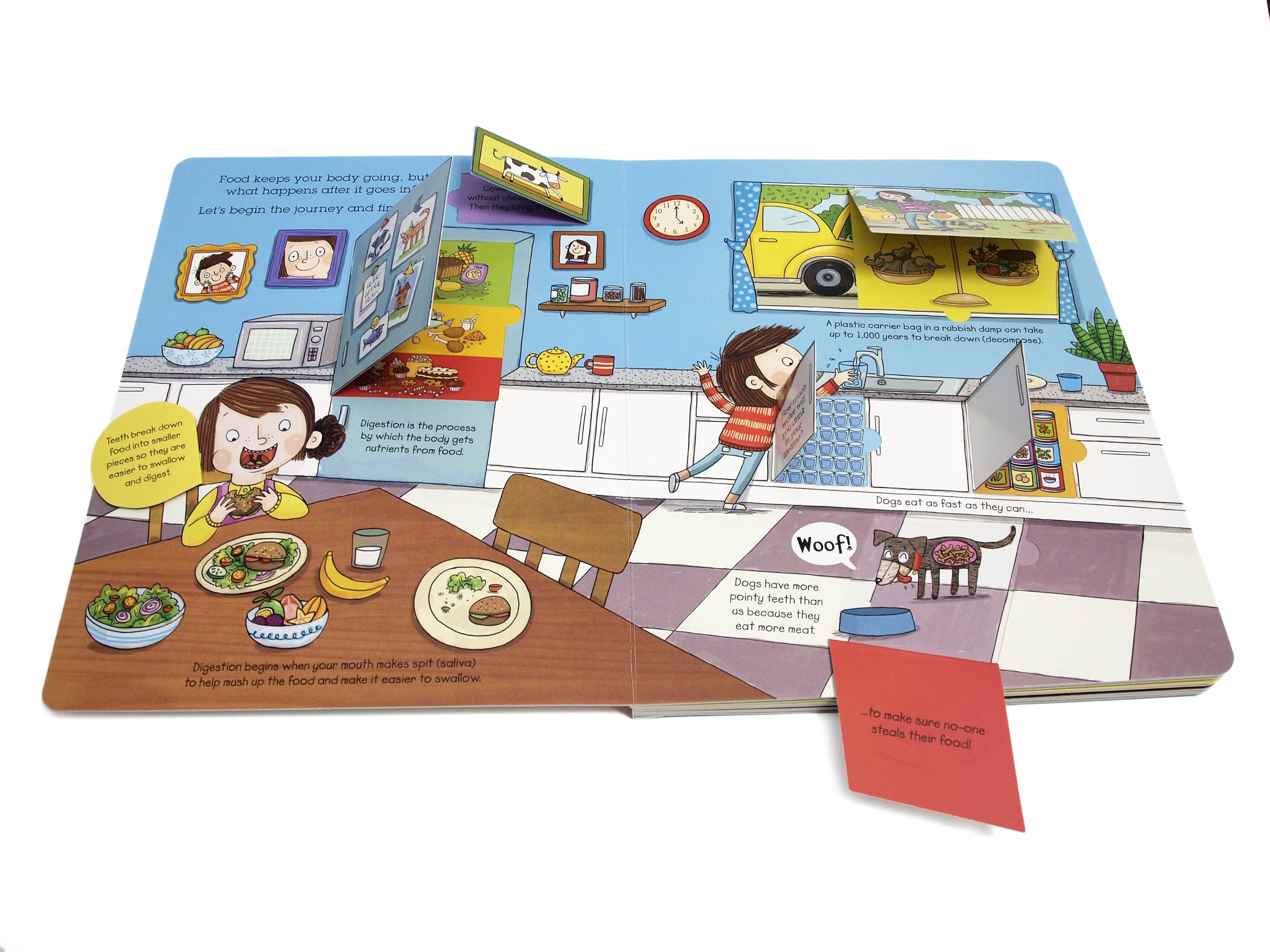 Pop-Up/Flap/Toy Books | KidzCollection