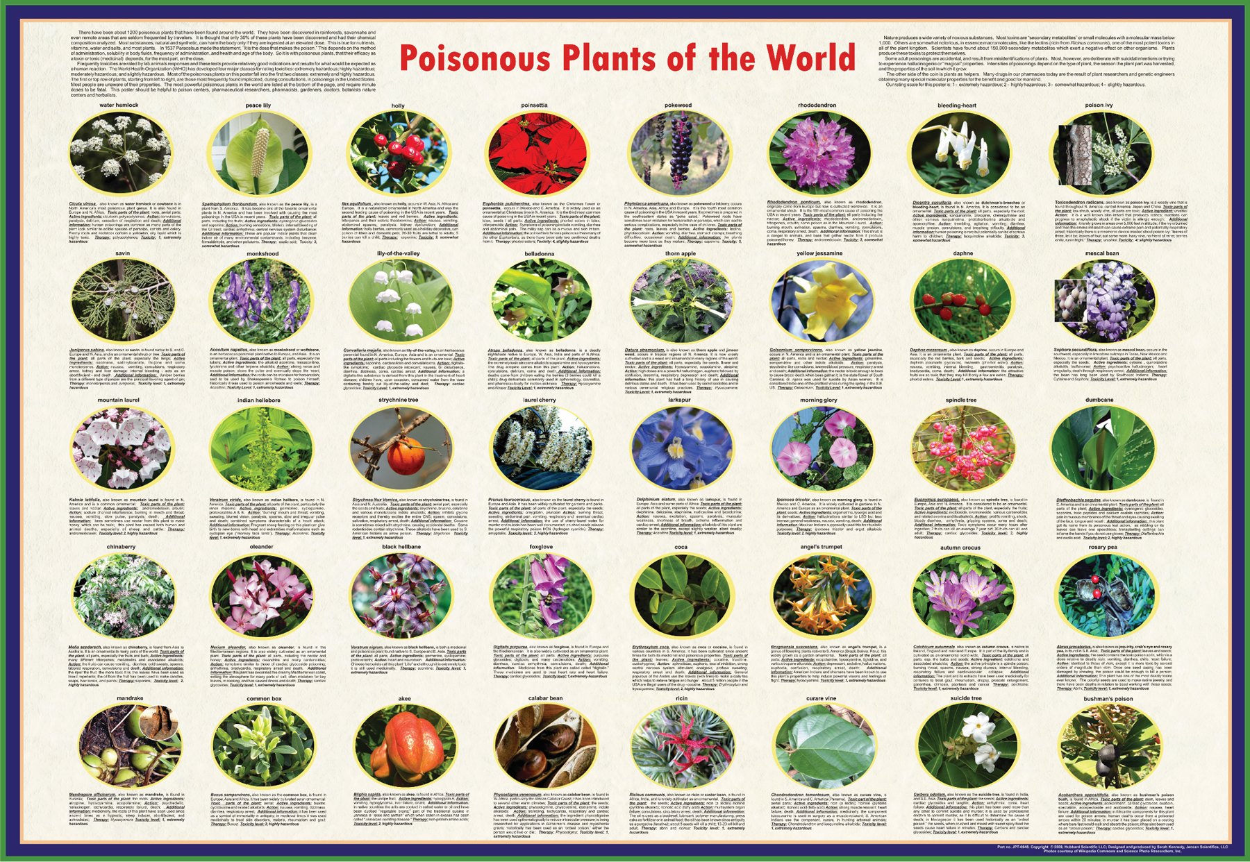 1000 Images About SRP STEM Do it yourself Discovery Table Ideas On