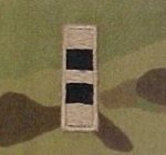Amazon.com: MultiCam RANK Insignia SEW ON CW2 Black & Tan: Military ...