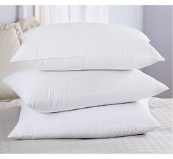 Marriott Pillows
