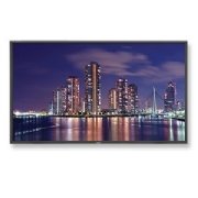 NEC 55-Inch Professional-Grade Large-Screen Display (P552) | Electronics