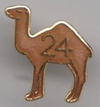 novelty special use novelty accessories buttons pins