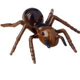 US Toy Realistic Ants Action Figure (1 Dozen) - Import It All