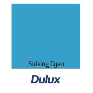 MATT FEATURE WALL - STRIKING CYAN 1.25L: Amazon.co.uk: DIY & Tools