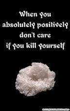 Amazon.com : Poster #211 Meth, Drug Use Prevention Message Posters ...