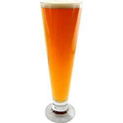 Footed Pilsner Beer Glass - FindGift.com