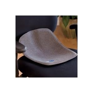 Floor Cushions: BackJoy Portable Orthotic Pelvic / Back Support (For ...