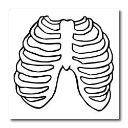 Rib Cage Art Coloring Coloring Pages