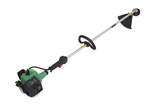 Hitachi CG22EAP2SL 21.1cc 2-Cycle Gas Powered Solid Steel Drive Shaft ...