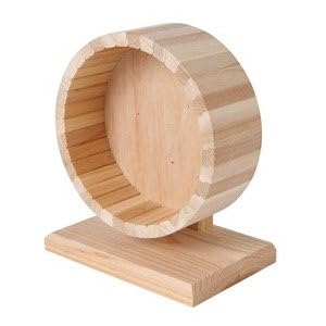 Advice on building a wooden hamster wheel? : r/woodworking