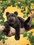 Panther, Black Panther Hand Puppet - By Folkmanis - Toto Cst715d#12 ...