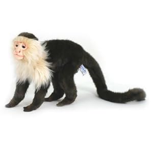 Plush Soft Toy Capuchin Monkey by Hansa. 27cm. 5852: Amazon.co.uk: Toys ...
