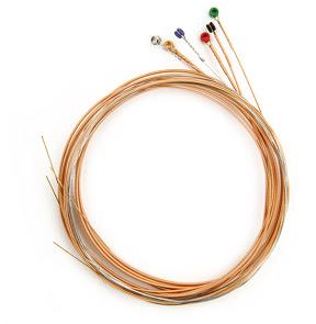 D'Addario EFT13 Flat Tops Phosphor Bronze Acoustic Guitar Strings ...