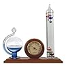 Amazon.com - AcuRite 00795A2 Galileo Thermometer with Glass Globe ...
