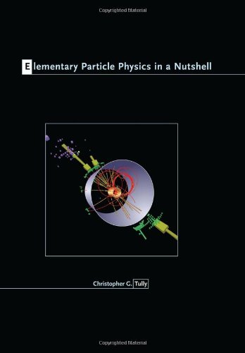Elementary Particle Physics in a Nutshell (In a Nutshell (Princeton ...