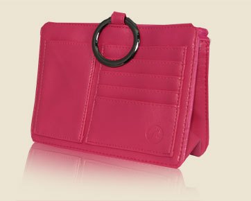 Pouchee Purse Organizer - FindGift.com