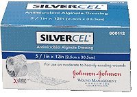 Amazon.com: SILVERCEL Antimicrobial Alginate Dressing - 2 x 2" Rope ...