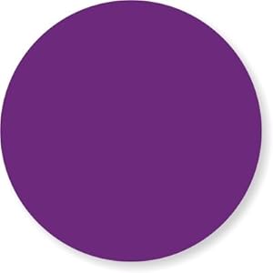 Amazon.com : 3/4" Diameter Purple Circle Labels (500 per Roll) : Color ...