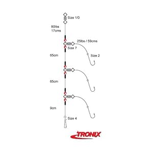 Tronixpro 3 Hook 2 Up 1 Down Sea Fishing Rig 3/0: Amazon.co.uk: Sports ...