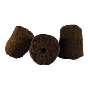 Amazon.com : Flora Root Plugs 100CT (Great for seedlings or cuttings ...