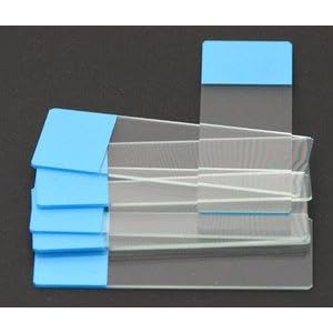 SEOH Microscope Colored End Label Microbiology Slides Blue pk of 72 ...