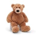 Gund Fun Rock-A-Bye Baby Bear Animated 10" Plush from Gund Fun - T.A.B ...