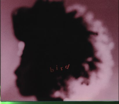 bird 画像 - こりゃまサーチ