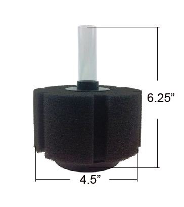 Top 5 Best sponge filter 10 gallon for sale 2016 | BOOMSbeat