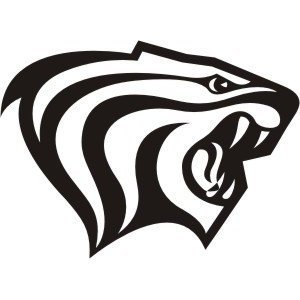 Amazon.com: (2x) 5" Tiger School Mascot Sticker Vinyl Decals Die Cut ...