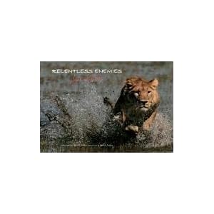 Review of Relentless Enemies: Lions and Buffalo (Hardcover) | National ...